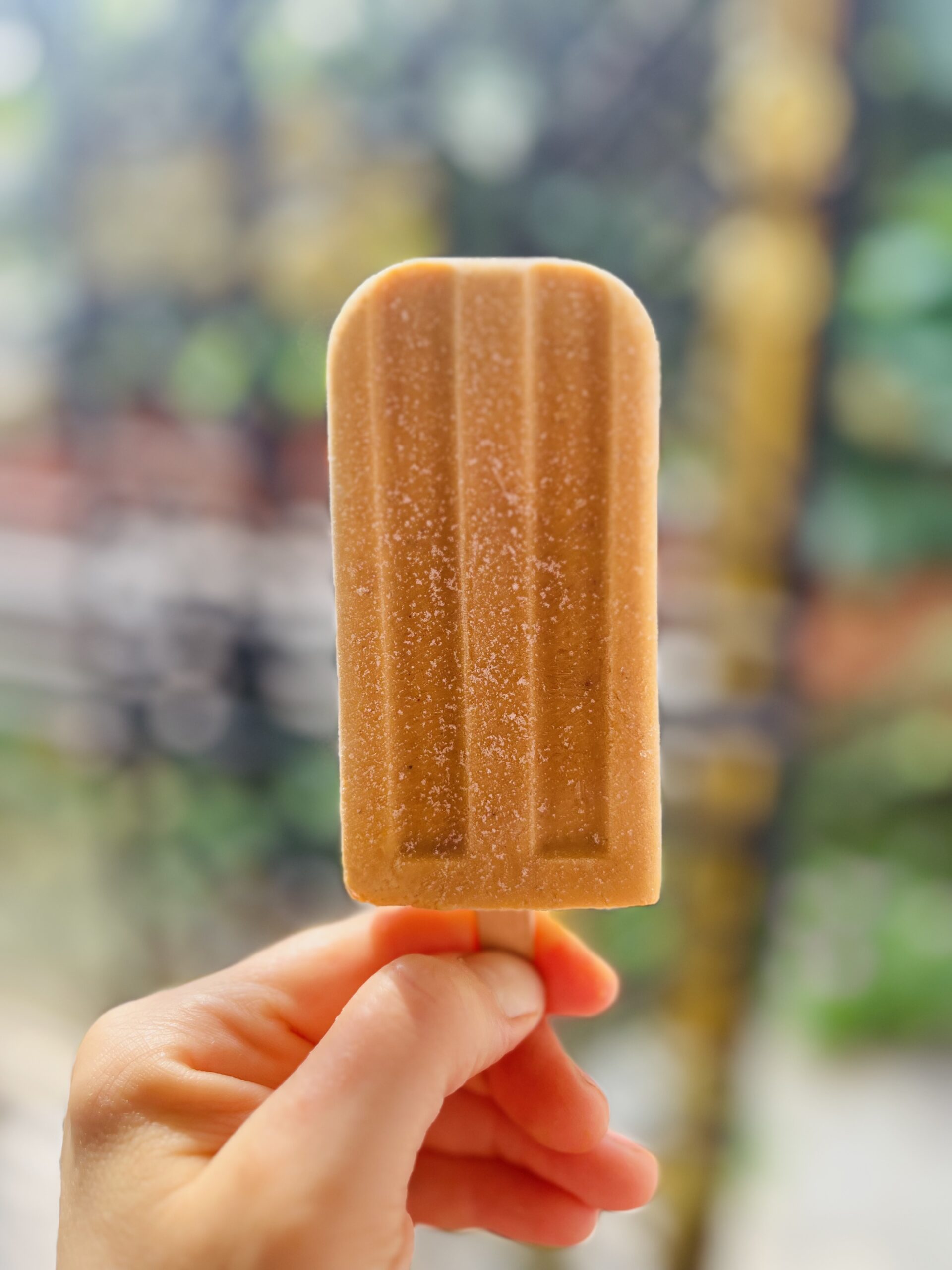 Creamy Pumpkin Pie Popsicles (Dairy-Free) - House of Springs