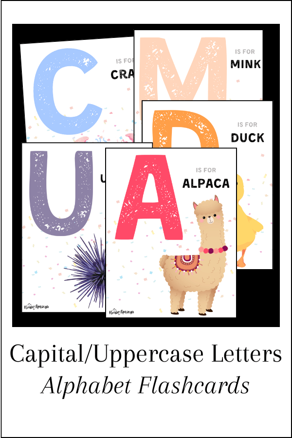 Alphabet Flashcards - House of Springs