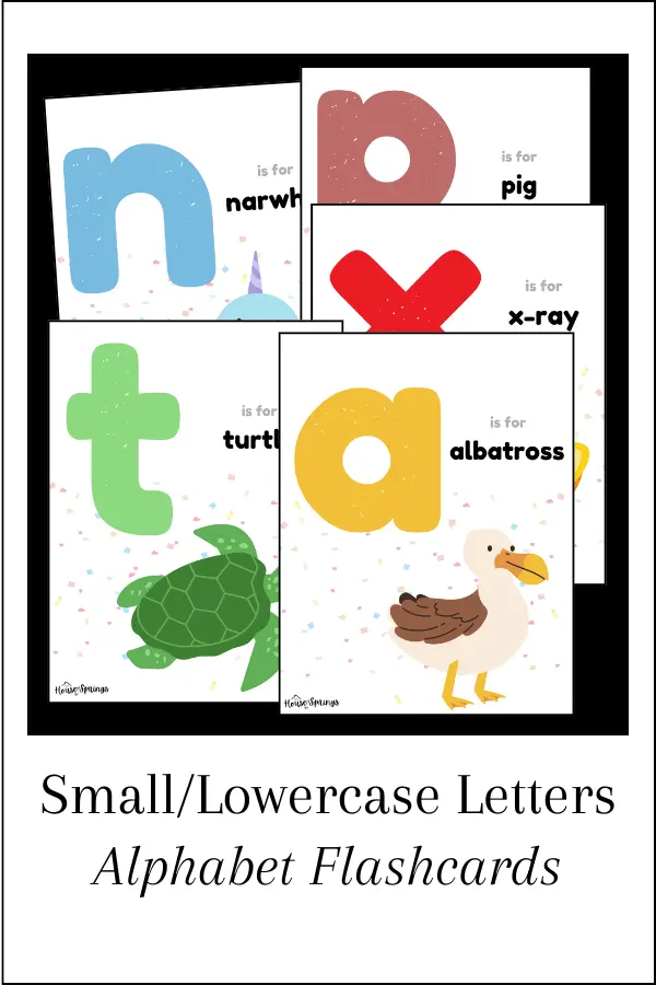 Alphabet Flashcards - House of Springs